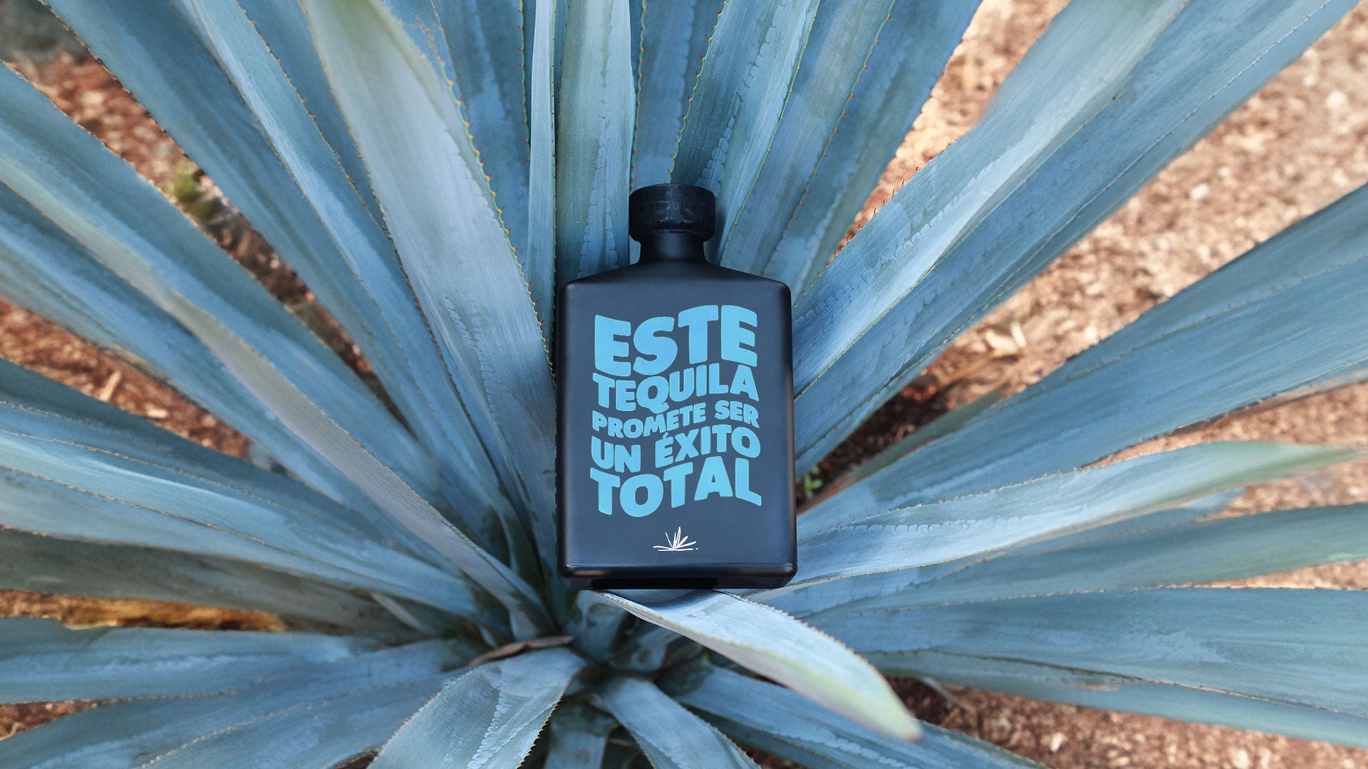 Hazlo a tu manera – Tequila DSGN®